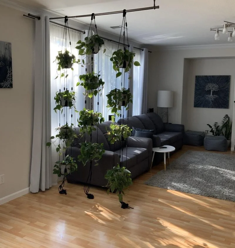 DIY Floating Garden: Ideas and Tips on the Latest Trend - Home Garden Tips