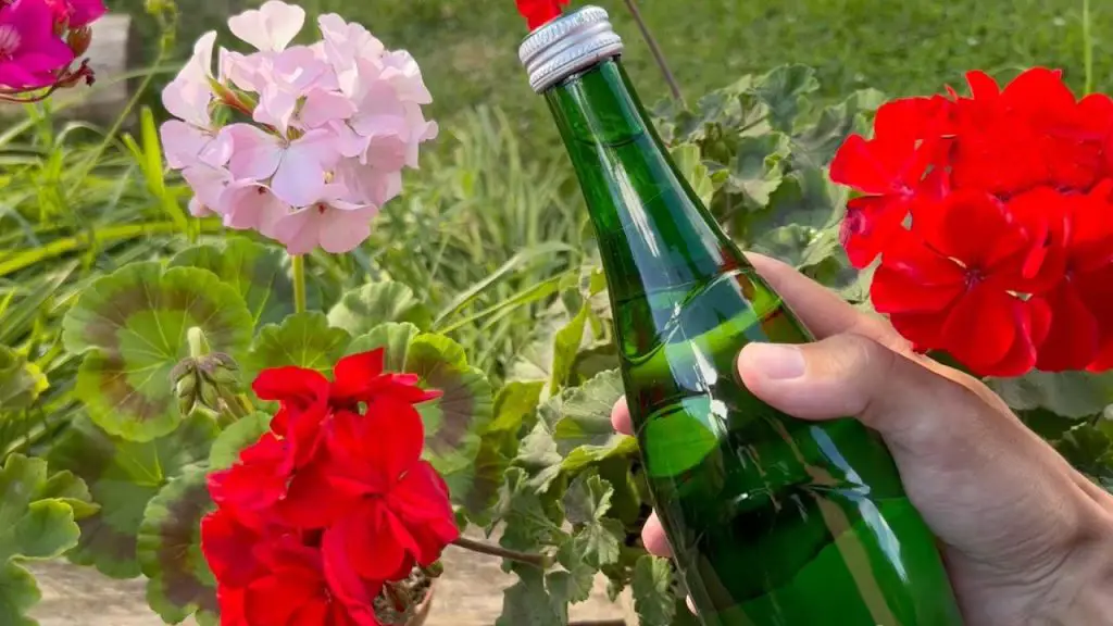 Rejuvenating Elixir Healing Water for Home Flowers Blooms Wonders ...