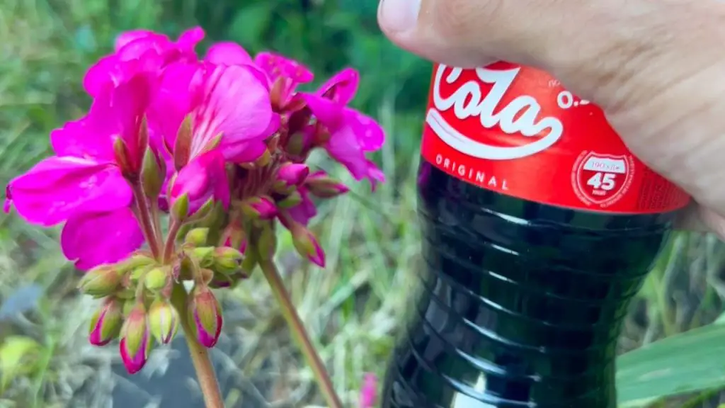 Surprising Secret: Reviving Flowers with Cola Splash! - Home Garden Tips
