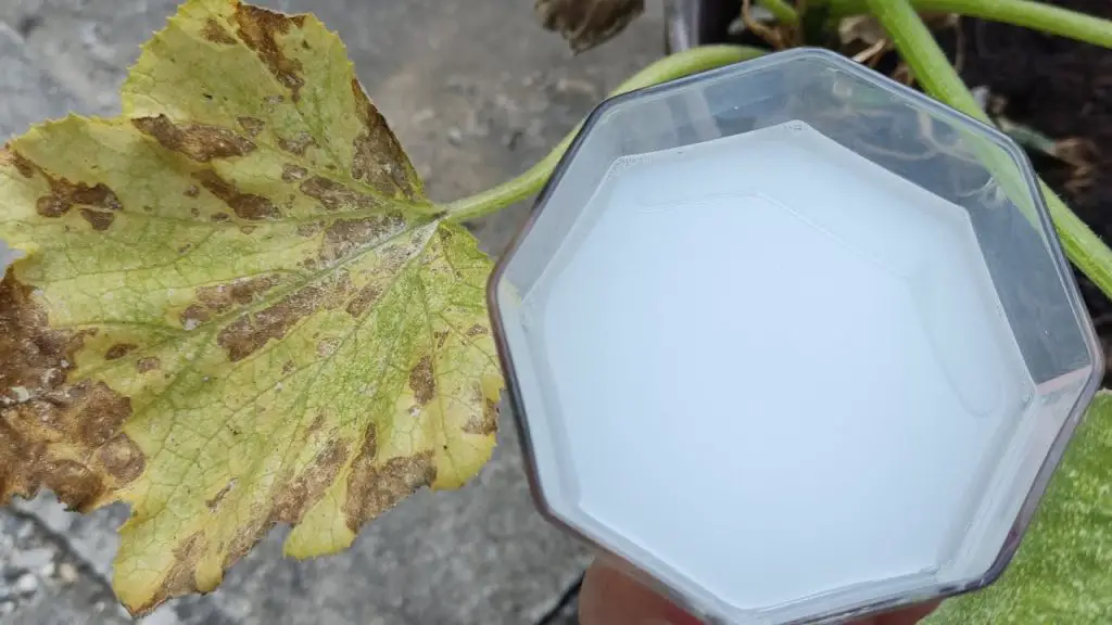 Resurrection for Your Garden: How This Miracle Solution Brings Dead ...