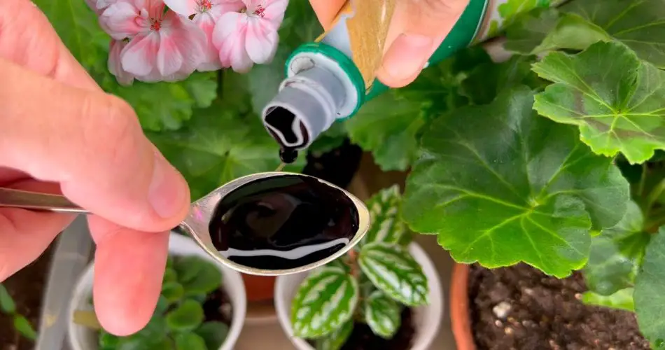 Spring's Secret Weapon Instantly Greening and Blooming Flowers with ...