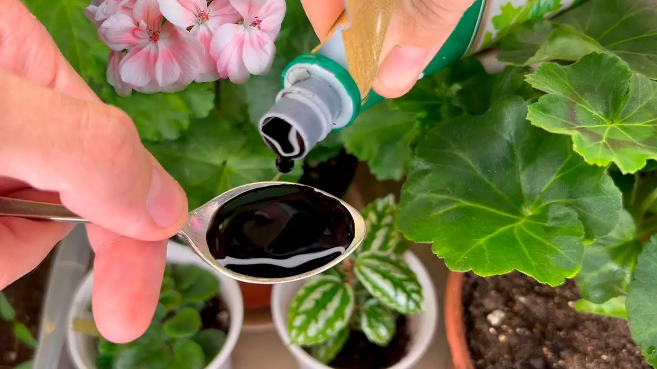 Spring's Secret Weapon Instantly Greening and Blooming Flowers with ...