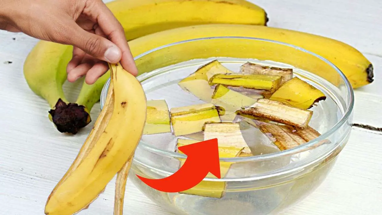 Banana peels, throwing them away is a big waste: for housewives they ...