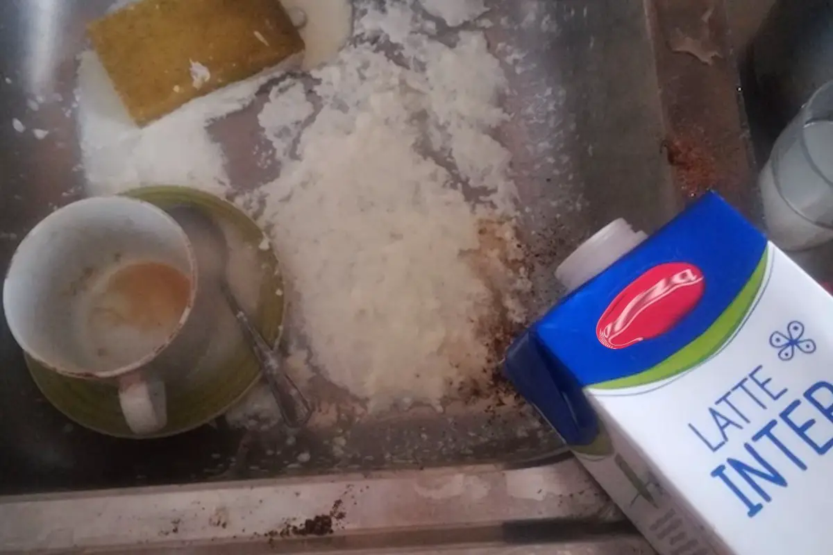 Expired milk? Never throw it away! Use it like this and you won't regret it - Home Garden Tips