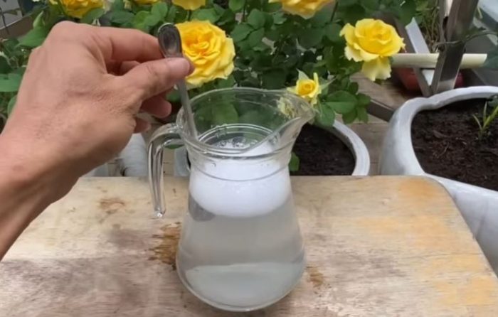 Baking soda, throw a teaspoon into the plants: what you will see is out of the ordinary - Home ...