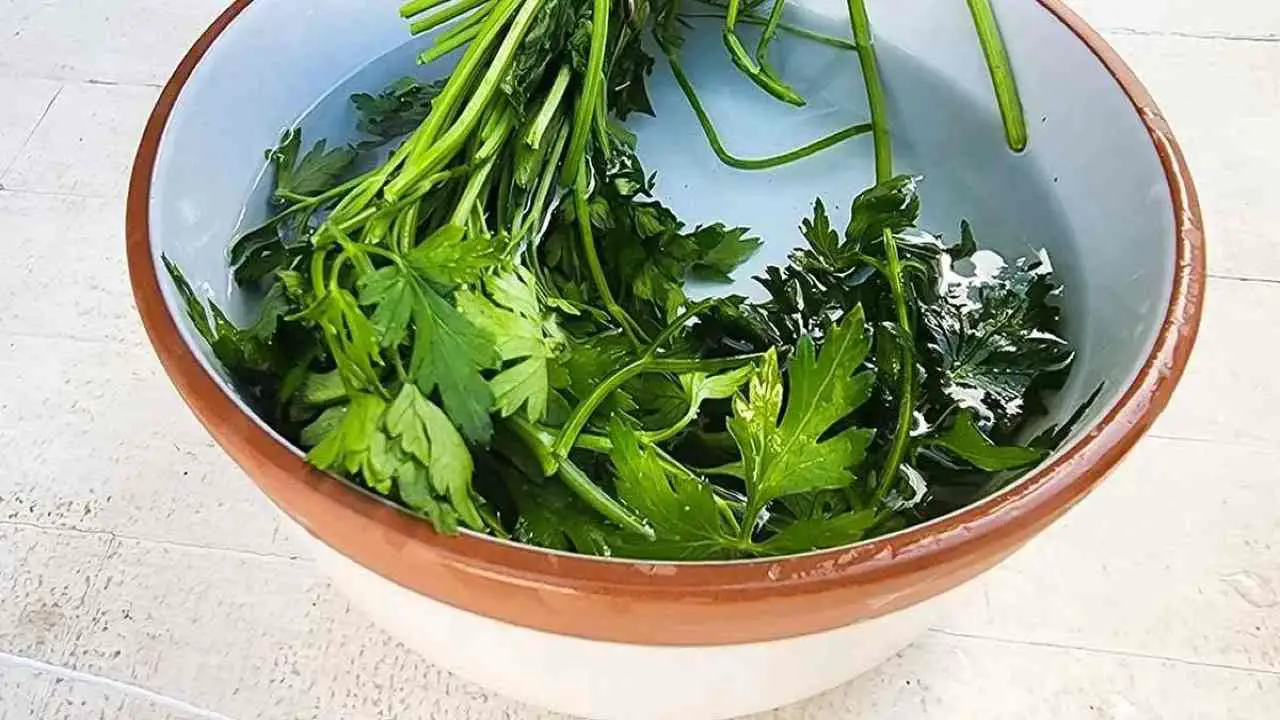 Fresh parsley for a month with the bowl method: chefs do it - Home ...