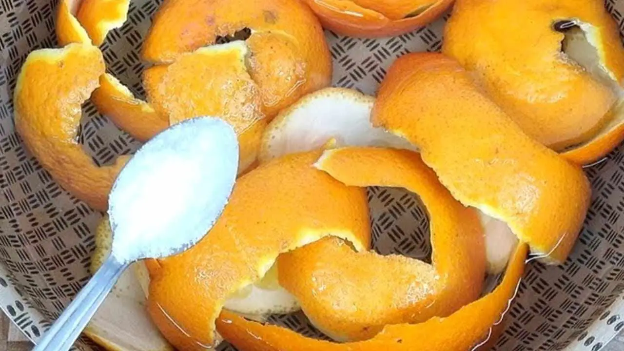 Add salt to orange peels and stop wasting money: they are worth their ...