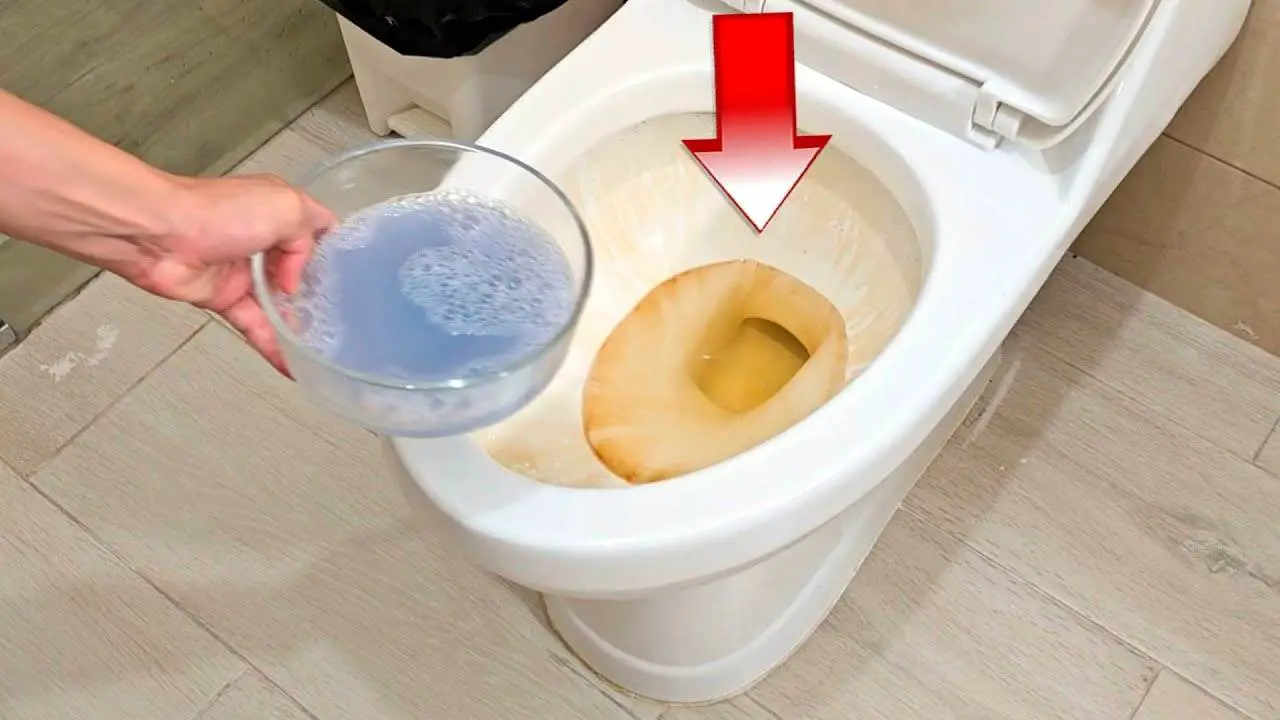 This powerful and natural blend eliminates all urine stains and odors ...