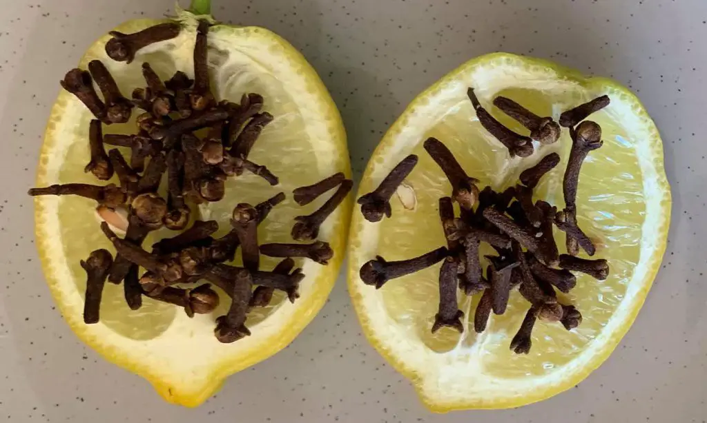 Mix Cloves with lemon : The Secret Nobody Will Ever Tell You - Home ...