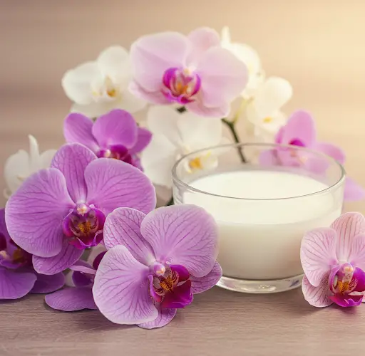 Magic Creates Many Super Giant Orchid Flowers - Home Garden Tips