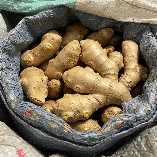 Too easy with the way to recycle old bags to grow ginger at home for ...
