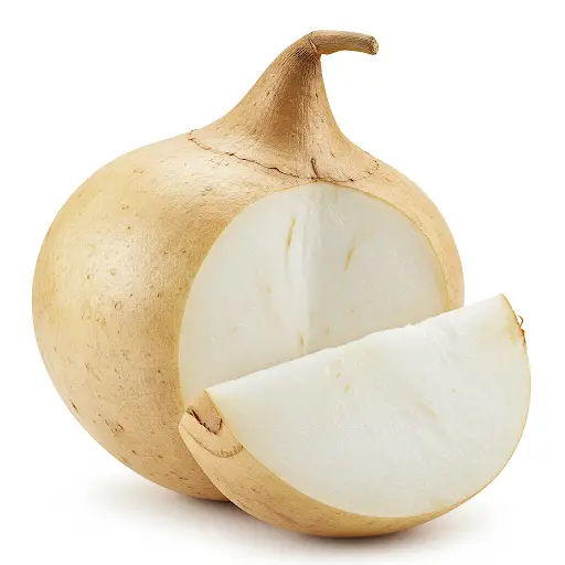 How to Grow Jicama at Home for Big and Sweet Tubers, Easy for Beginners ...