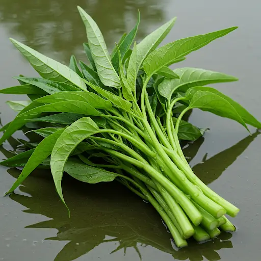 Delicious, Sweet, and Refreshing – How to Grow Water Spinach at Home ...