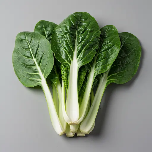 Growing Chinese Chard on the Rooftop – A Simple Way to Feed the Family ...