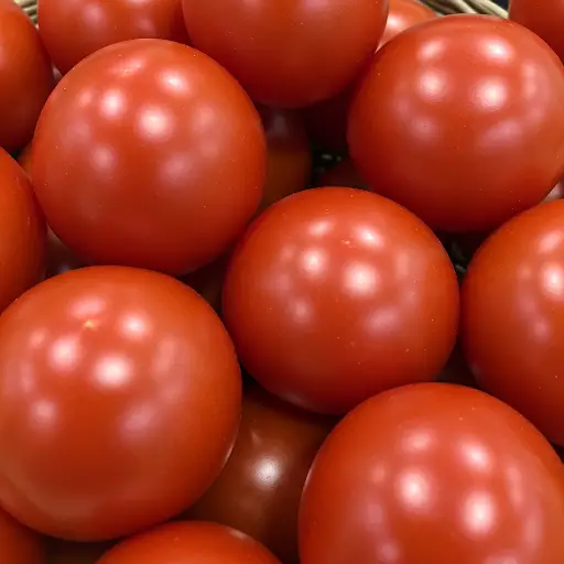 How to Germinate Tomatoes Quickly at Home Using Store-Bought Tomatoes ...