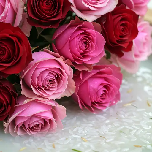 How to Propagate Roses at Home: A Simple and Beautiful Method - Home ...