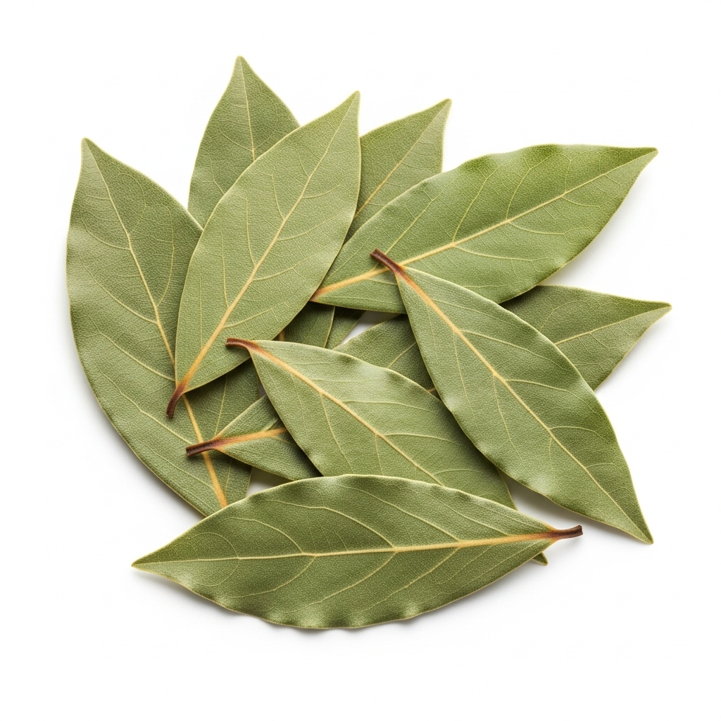 How to Use Bay Leaves as Natural Pest Control in the Garden - Home ...