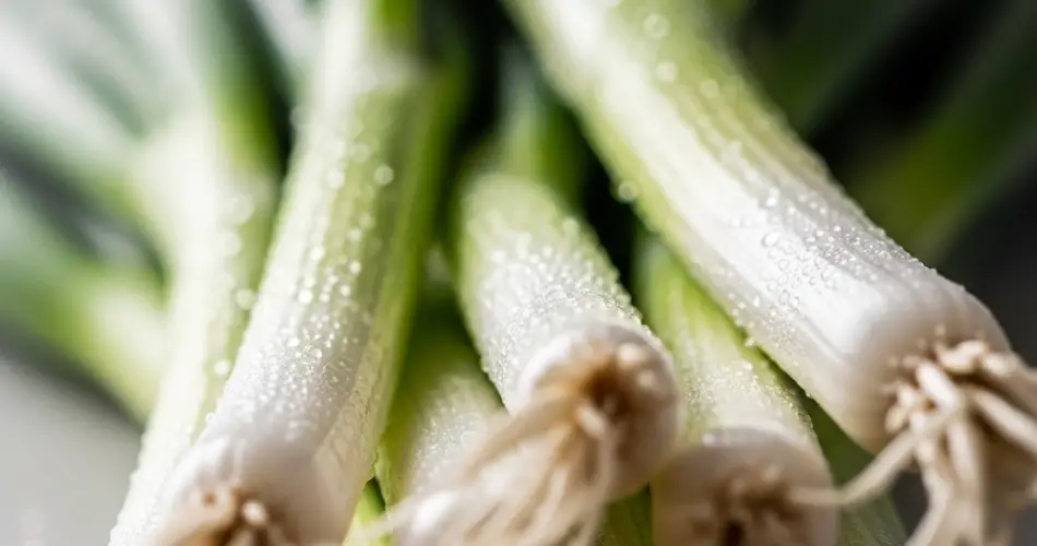 Fresh Flavor from the Crate: Backyard Scallions - Home Garden Tips