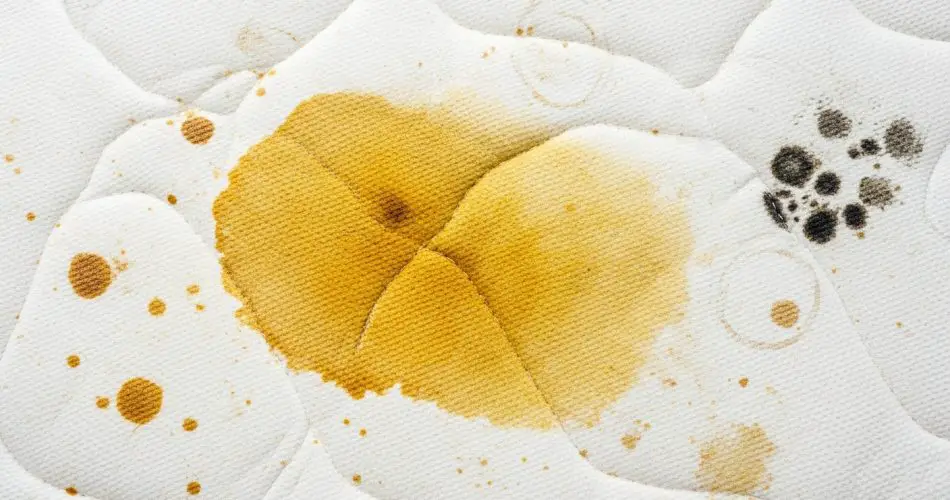 Urine Stains on a Mattress: How to Remove Them Effortlessly - Home ...